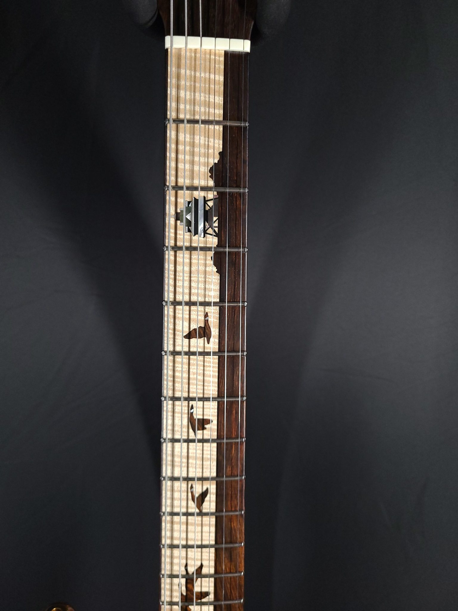 PRS Paul Reed Smith Private Stock #9602 Paul’s Guitar w/ Brazilian ...