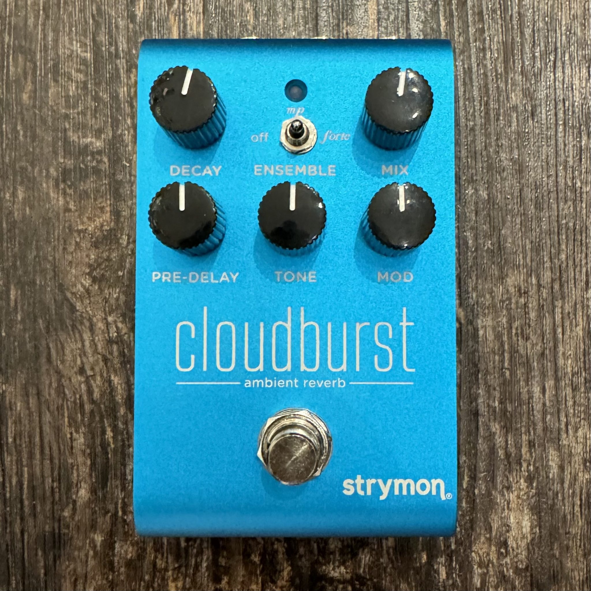 Strymon Cloudburst Ambient Reverb Pedal - Bay Tunes Guitars